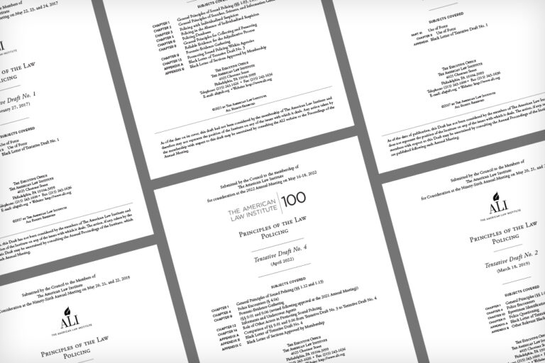 Principles of the Law, Policing